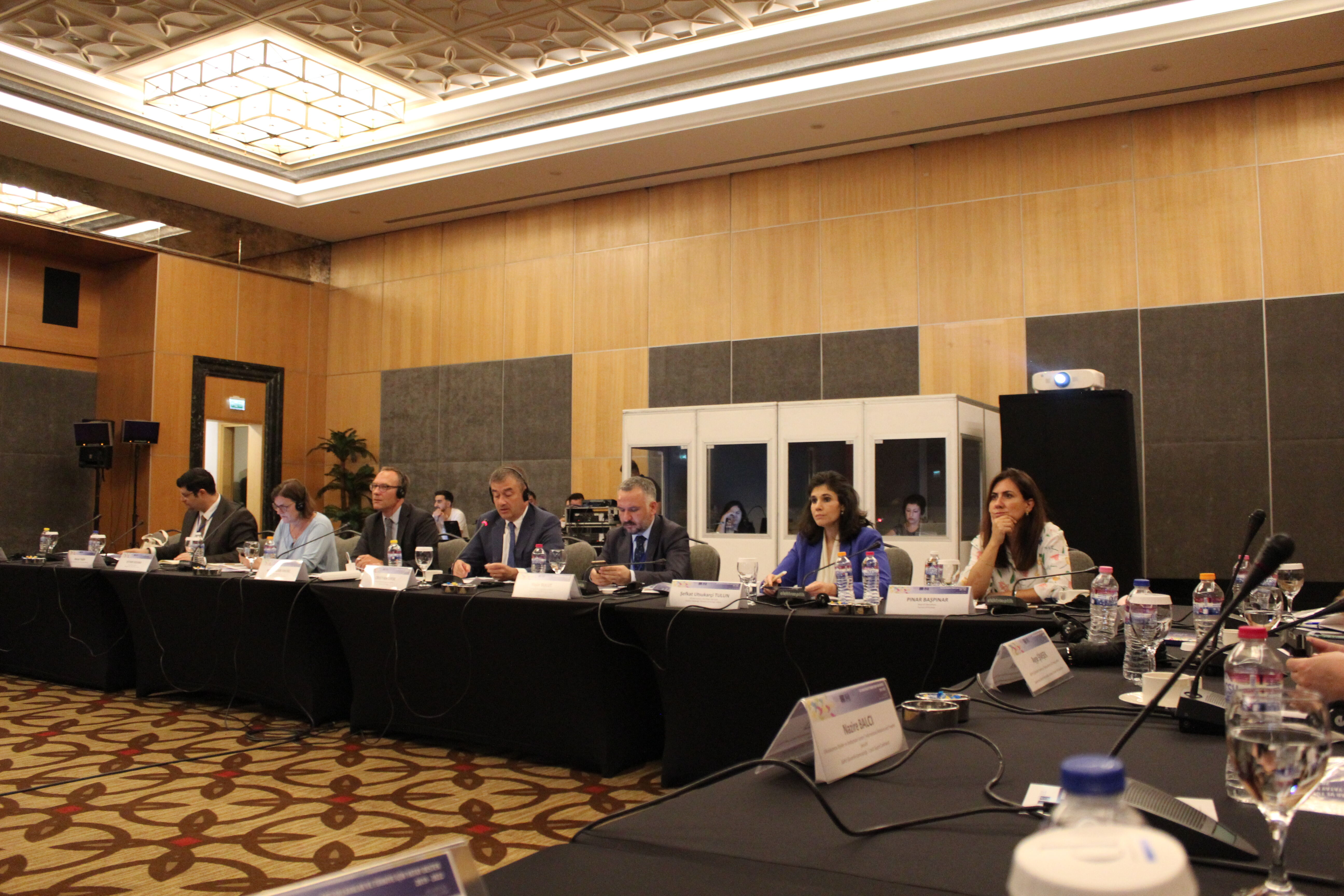 The Third Beneficiary Steering Committee of the European Union/Council of Europe Horizontal ...